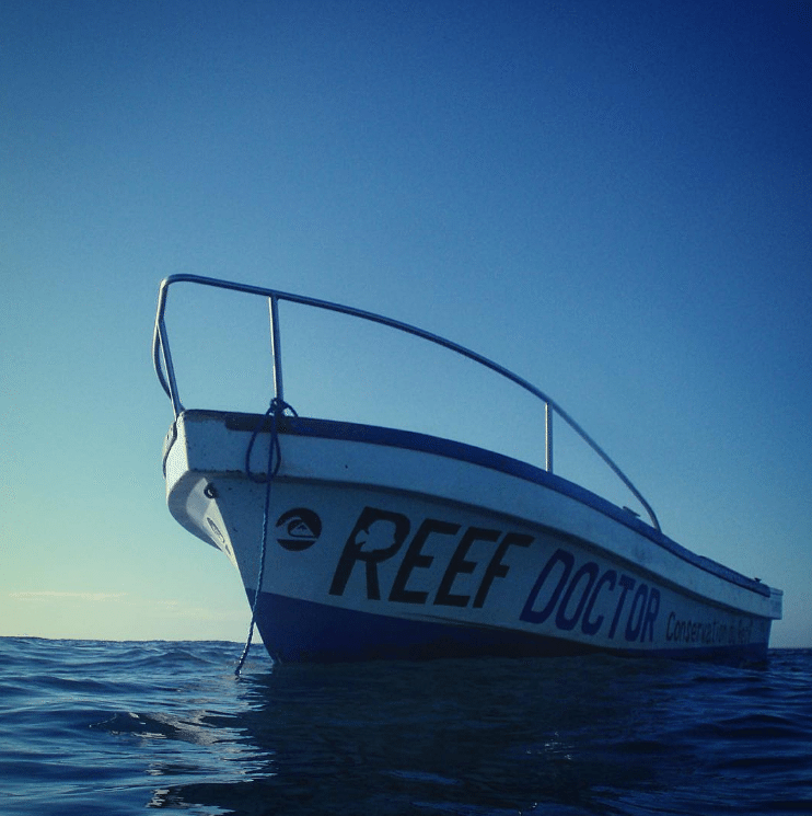 About - Reef Doctor - Conservation & Social Development