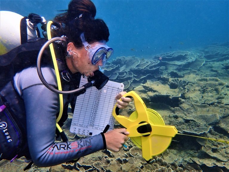 Research Assistant - Reef Doctor - Marine Conservation