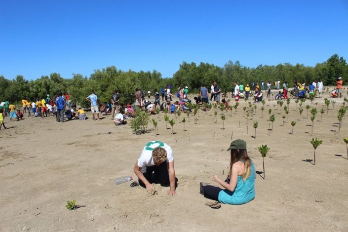 Mangrove Management & Restoration - Reef Doctor - Marine Conservation